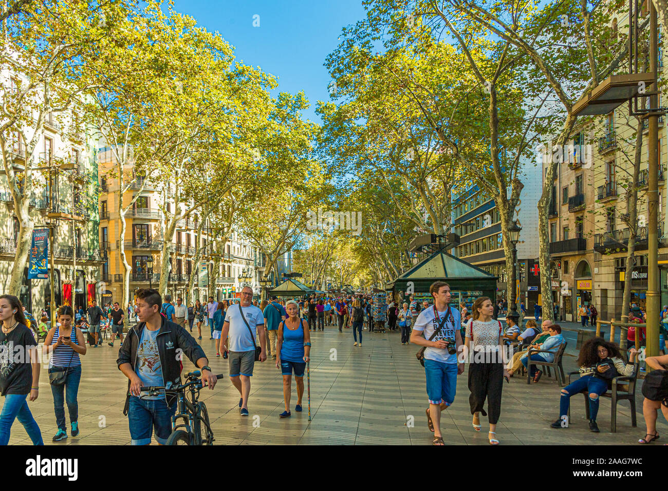 La rambla barcelona Banque de photographies et d’images à haute résolution - Alamy