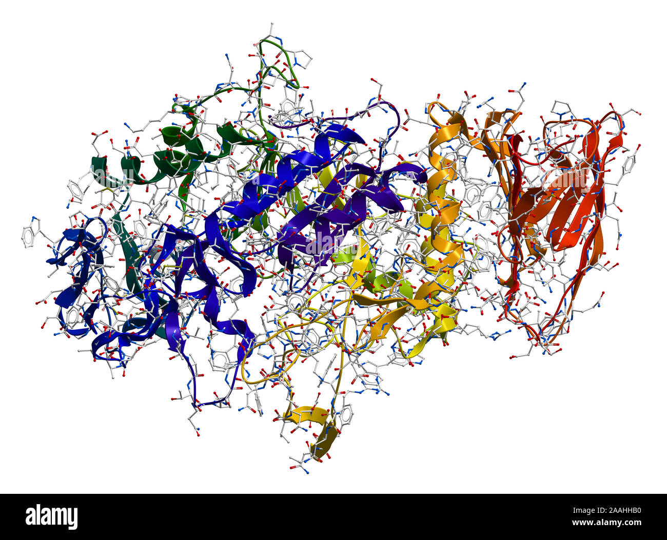 Amidon structure moléculaire Banque de photographies et d’images à ...