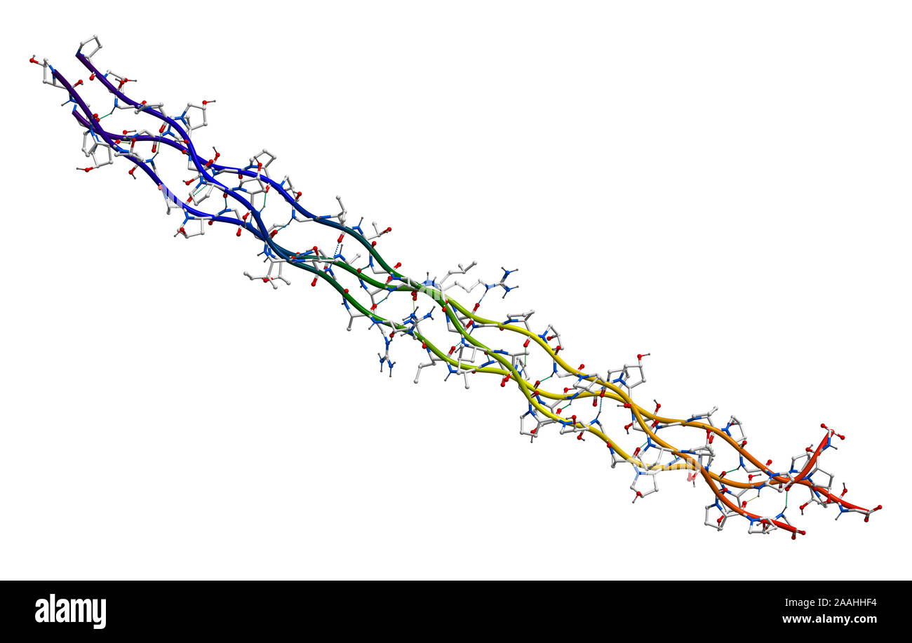Collagen protein structure Banque de photographies et d’images à haute ...