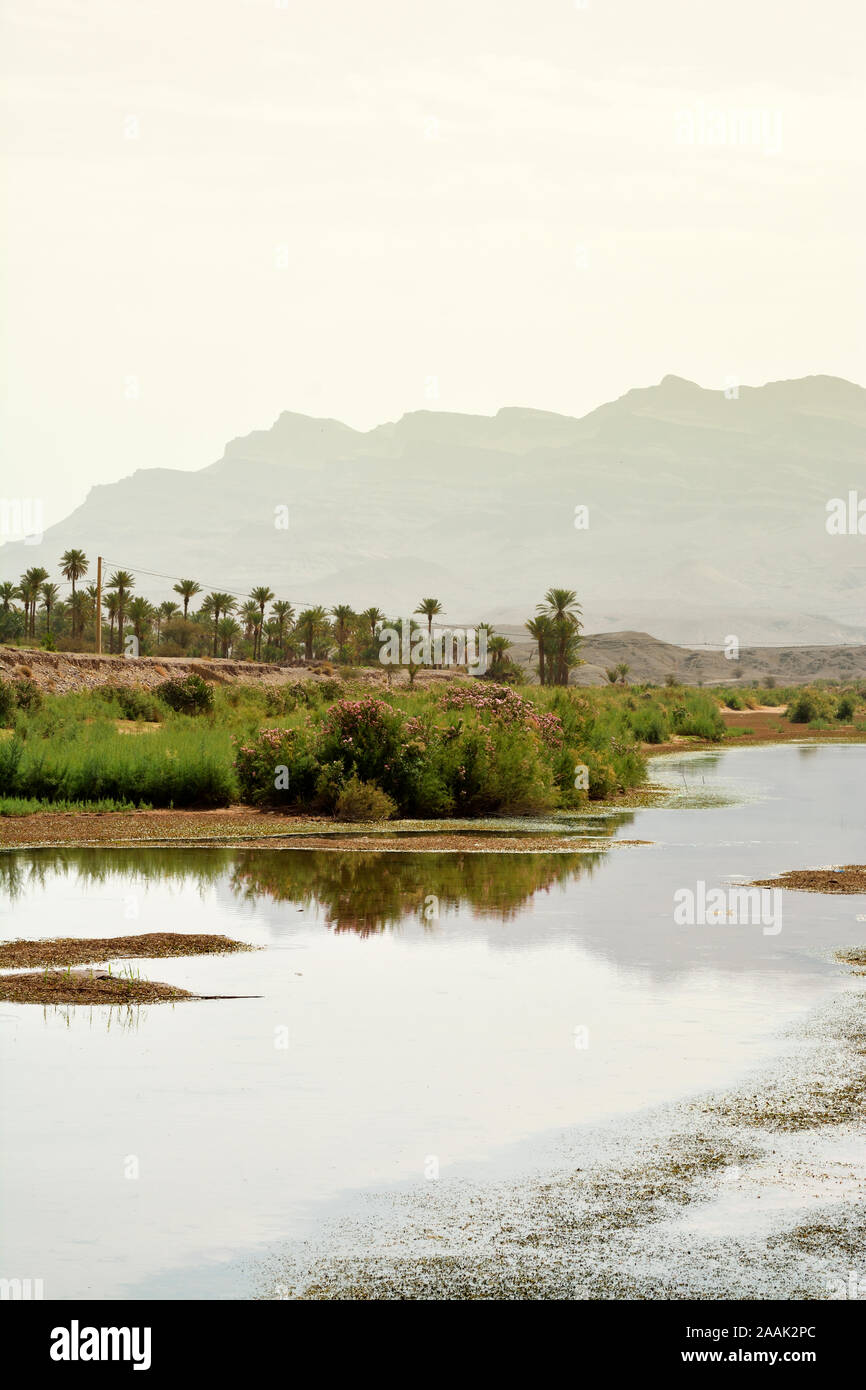 Oasis fluviale au maroc Banque de photographies et d’images à haute ...