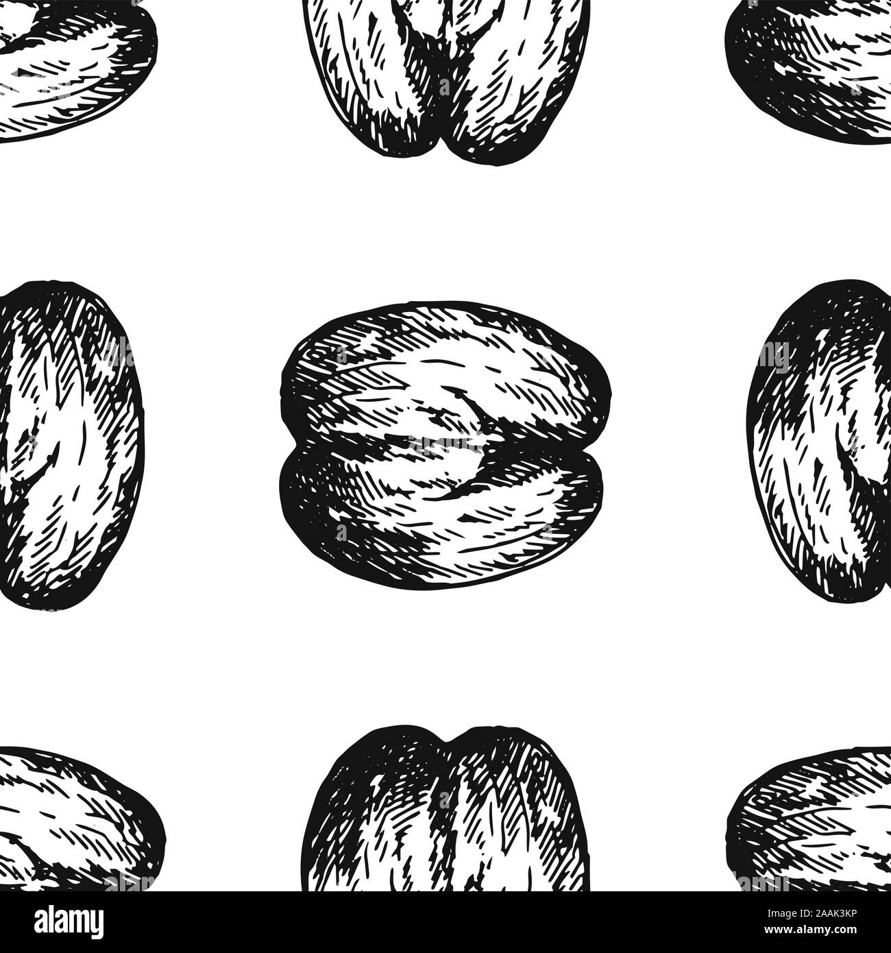 Motif de la main transparente style croquis de coco de mer isolé sur ...