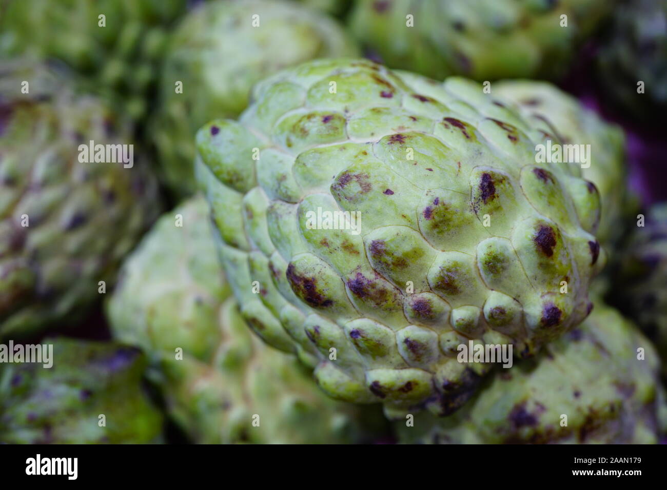 Annona fruit Banque de photographies et d’images à haute résolution - Alamy