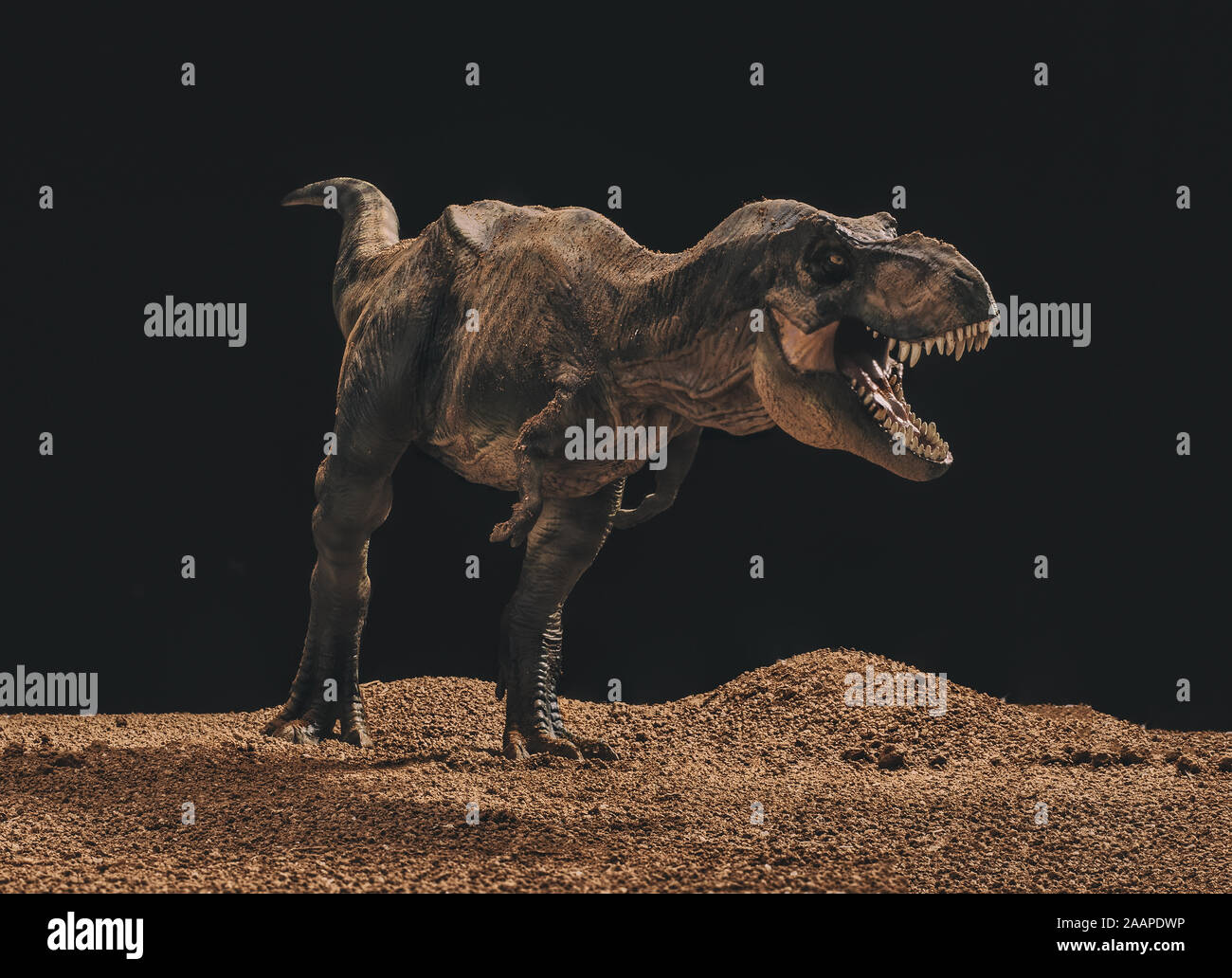 Tyrannosaurus rex dinosaurs background 3d Banque de photographies et d’images à haute résolution ...