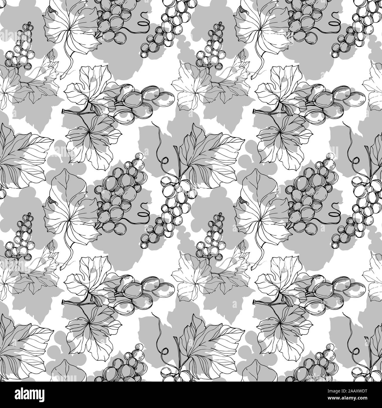 Vector baie de raisin alimentation saine. Noir et blanc Encre gravée ...