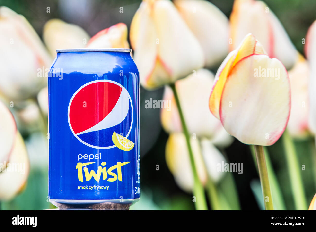 Pepsi Cola peut 330ml fleurs tulipes et arrière-plan. Pepsi est une ...