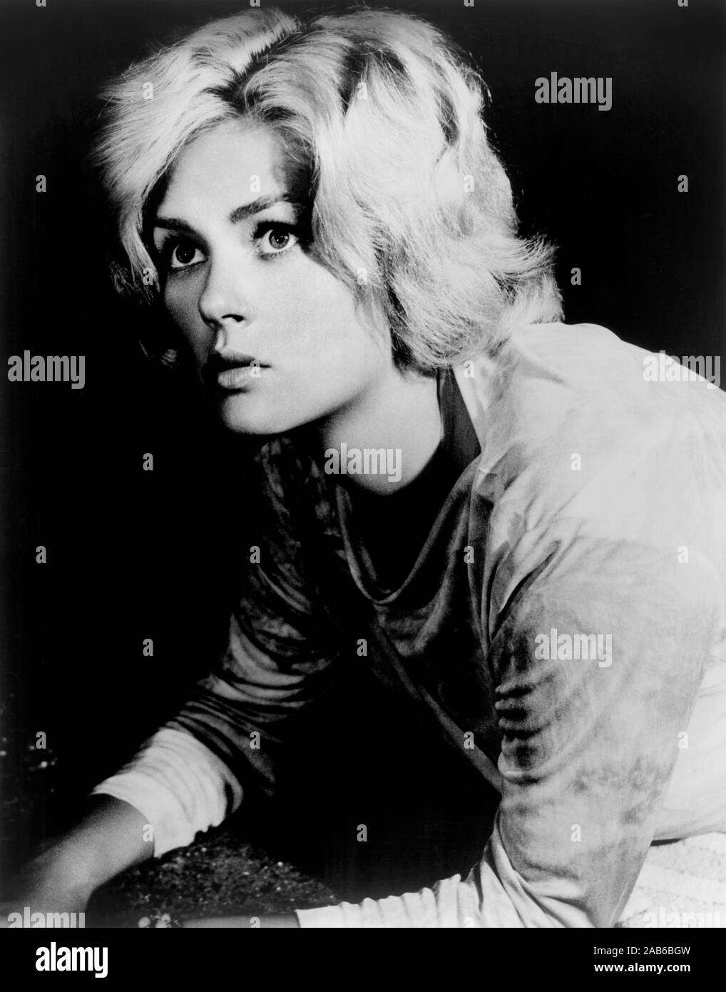 Bebe loncar Banque de photographies et d’images à haute résolution - Alamy