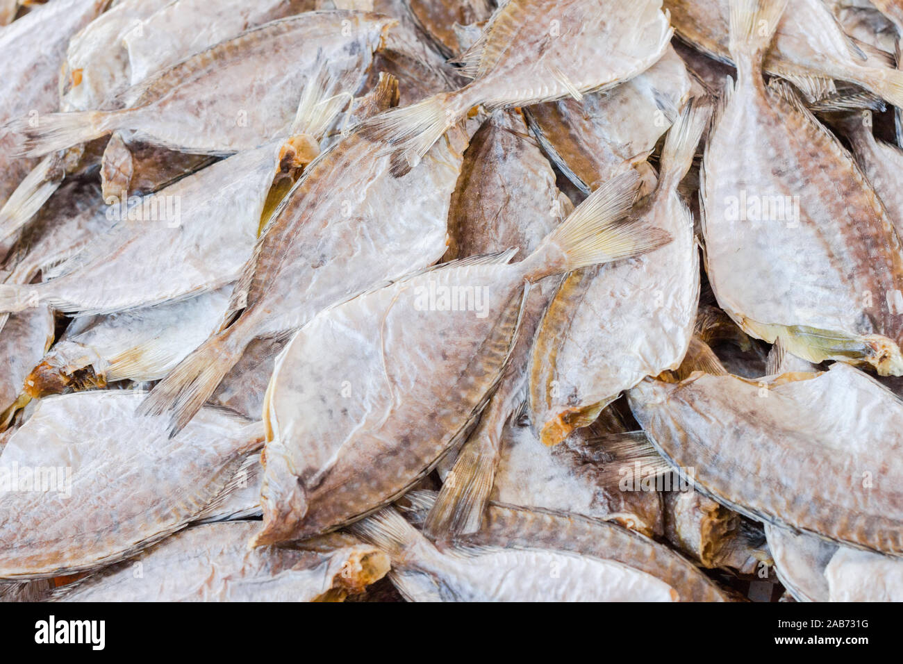 Processus de poisson Banque de photographies et d’images à haute ...
