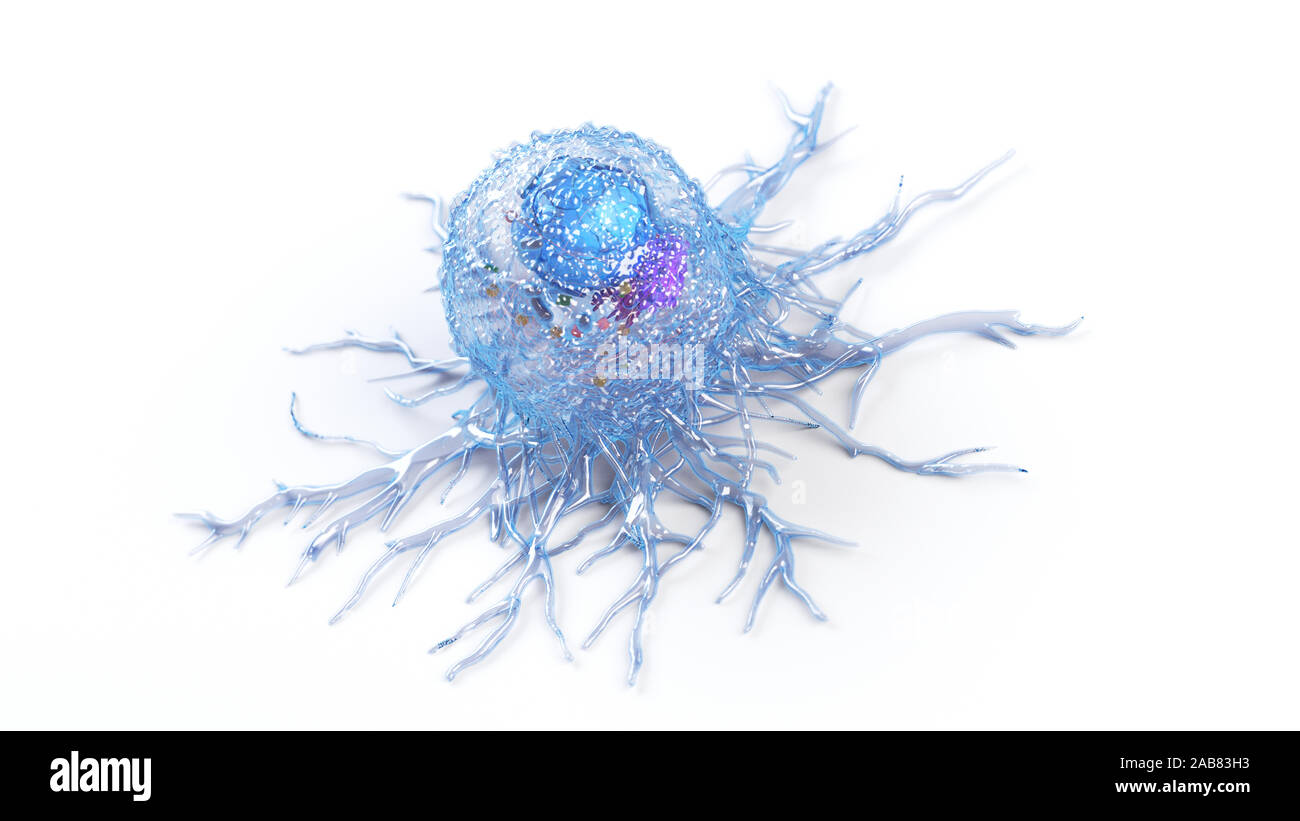 Illustration en rendu 3D de l'anatomie d'une cellule de cancer Photo ...