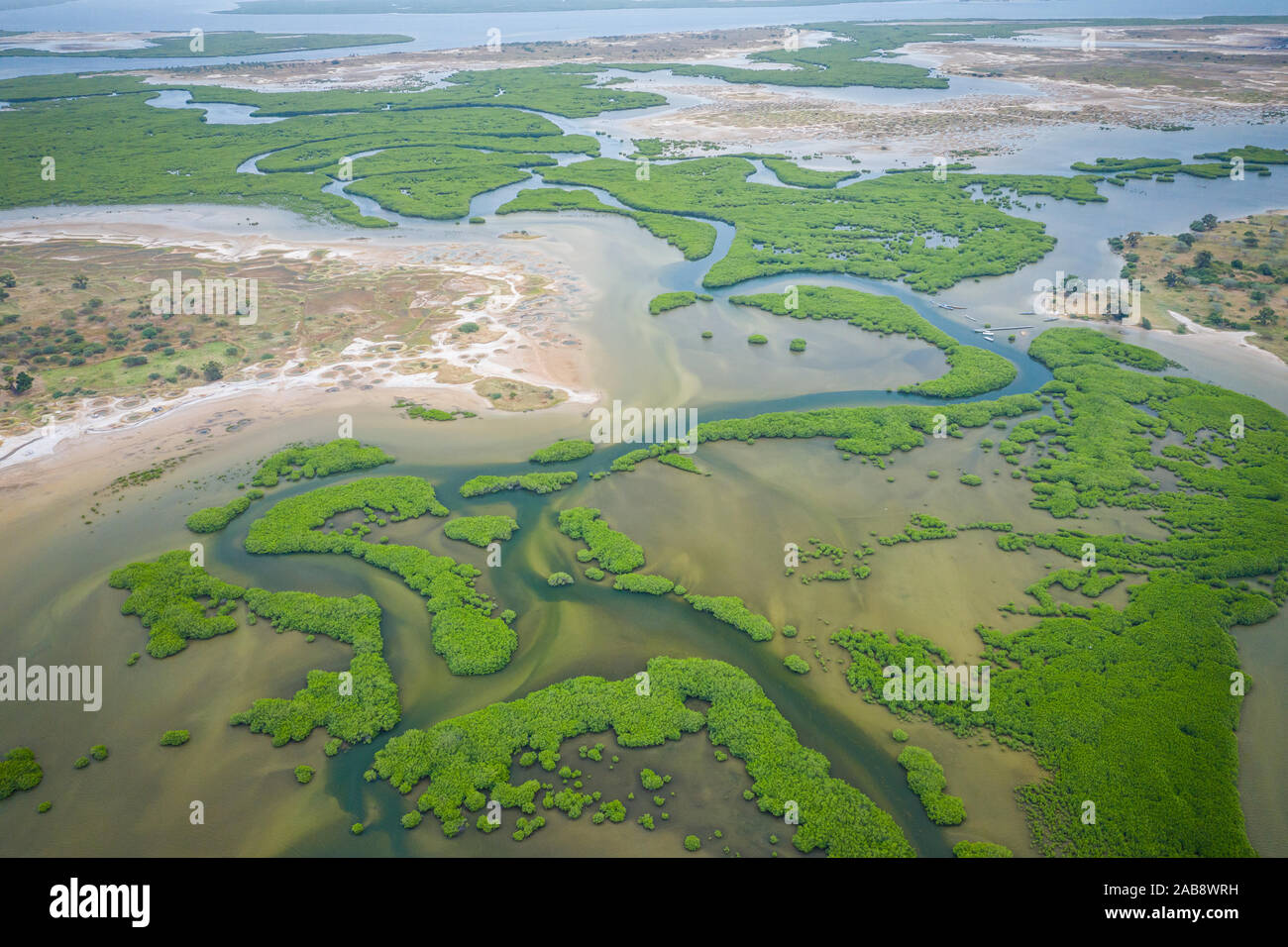 Delta De La Mangrove Banque d'image et photos - Alamy