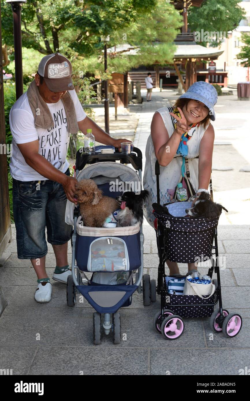 Japan dog stroller Banque de photographies et d’images à haute ...