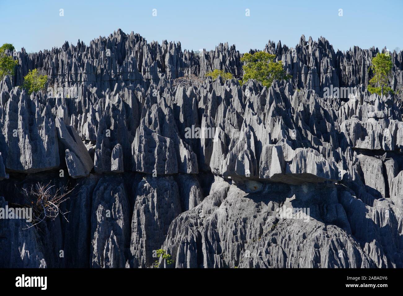 Tsingy bemaraha madagascar Banque de photographies et d’images à haute ...