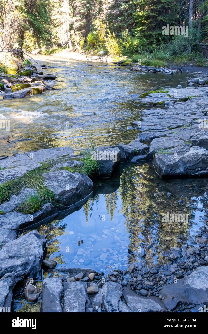 Arbres De Roche De Paysage Banque d'image et photos - Alamy