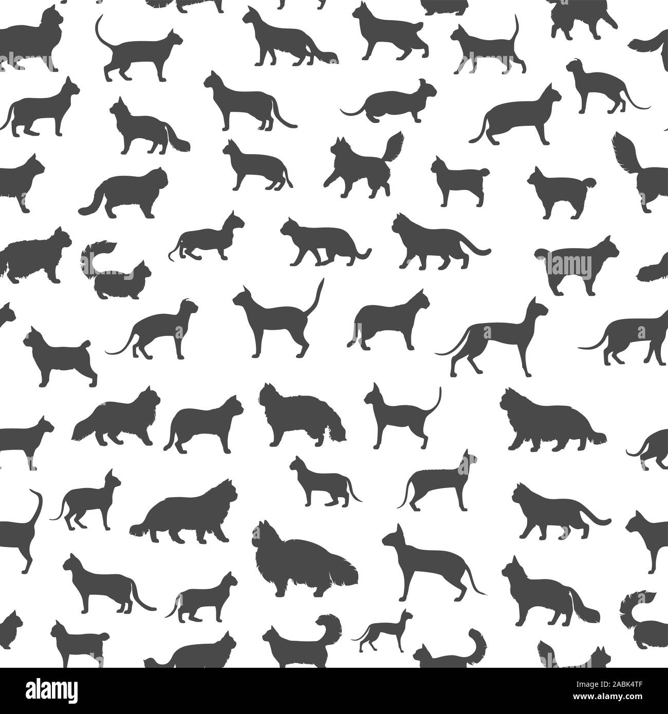 Les races de chats icon set style plat modèle homogène. Cartoon ...