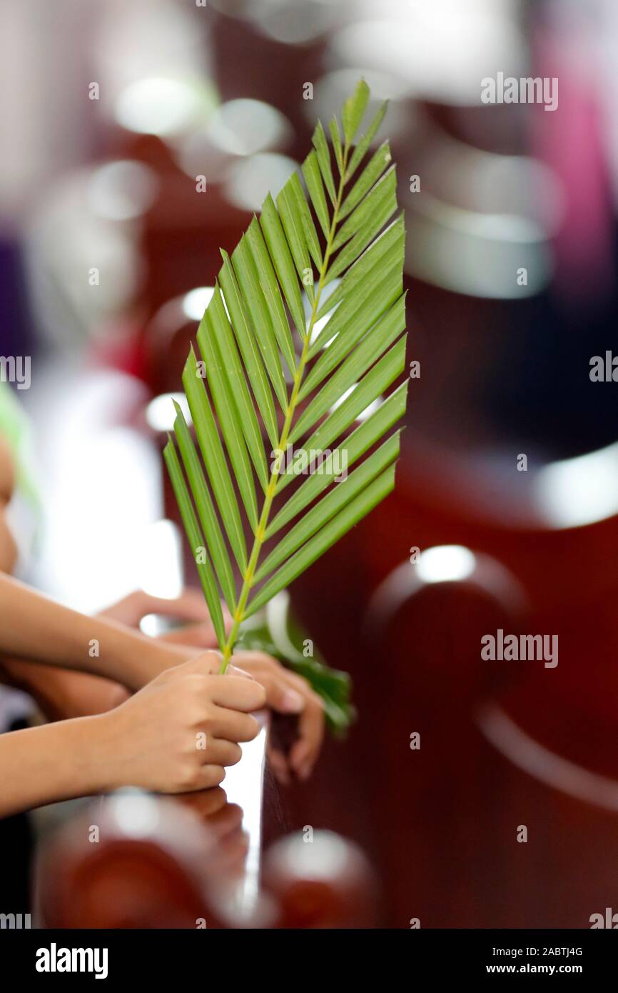 Messe des rameaux Banque de photographies et d’images à haute ...