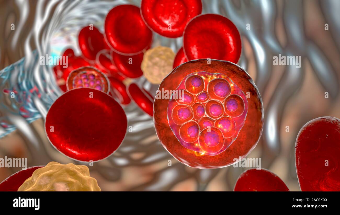 Culot globulaire tube Banque de photographies et d’images à haute ...