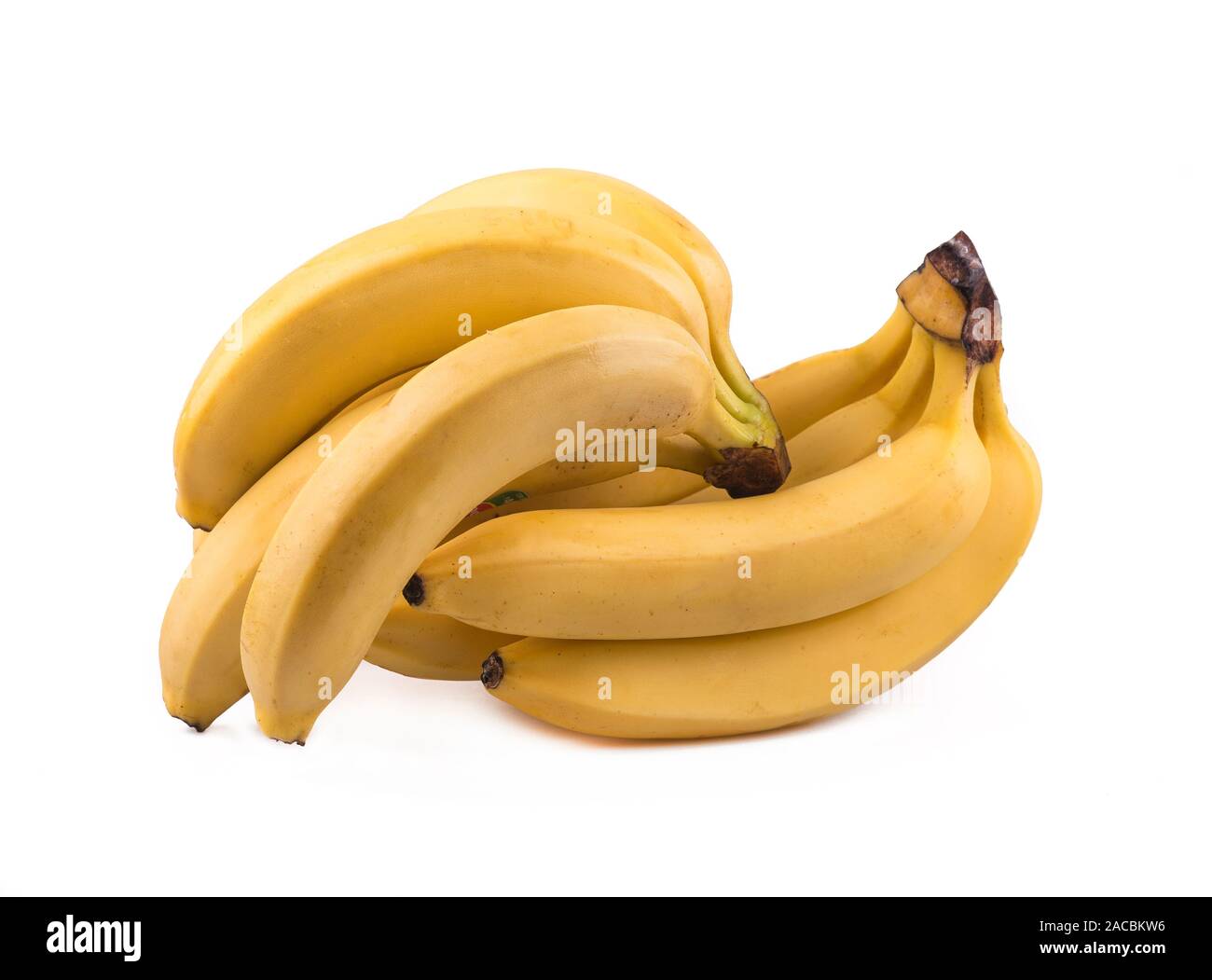 Musa sapientium Banque de photographies et d’images à haute résolution ...