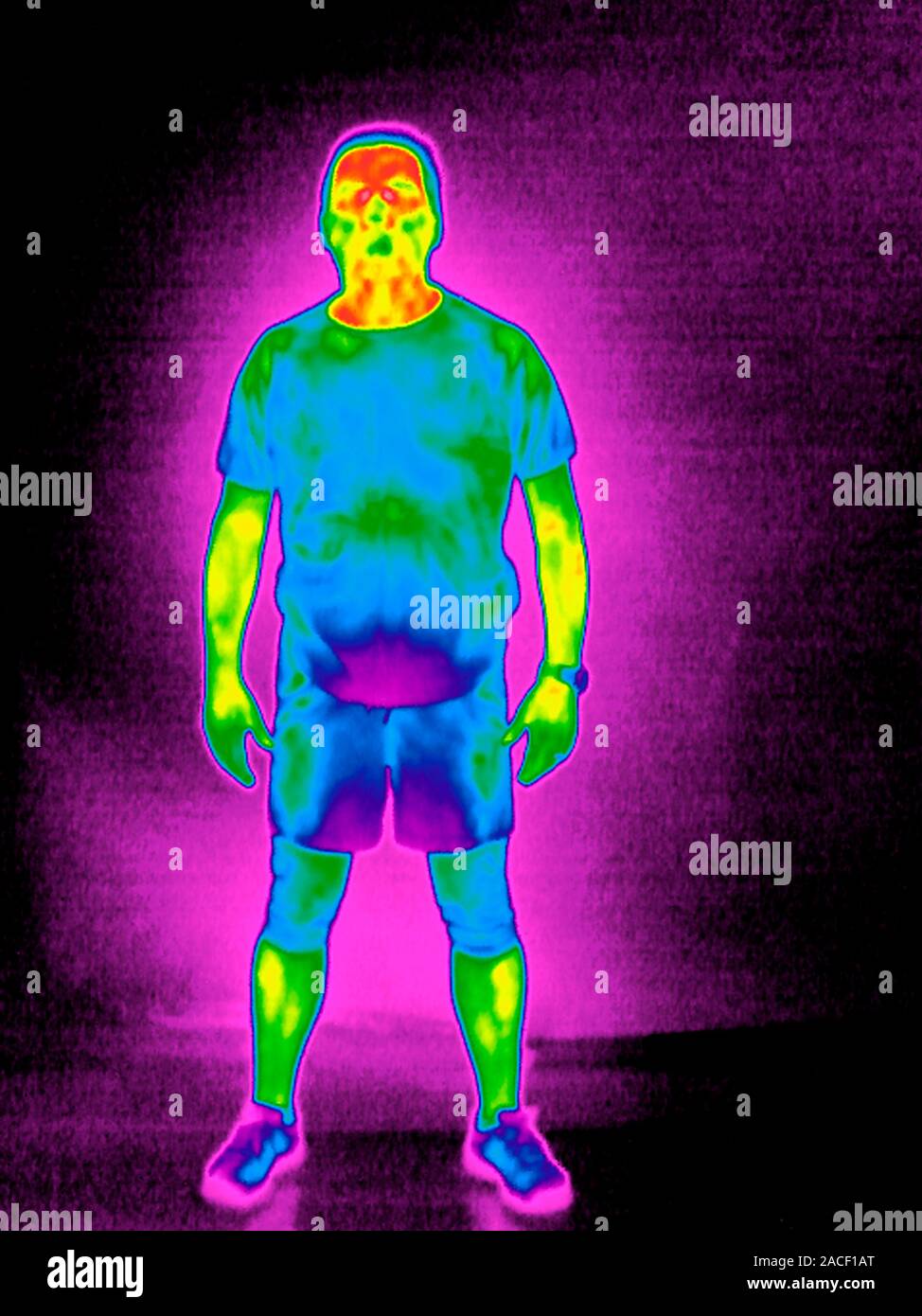 Thermogramme Man,. Un thermogramme montre la variation de la ...