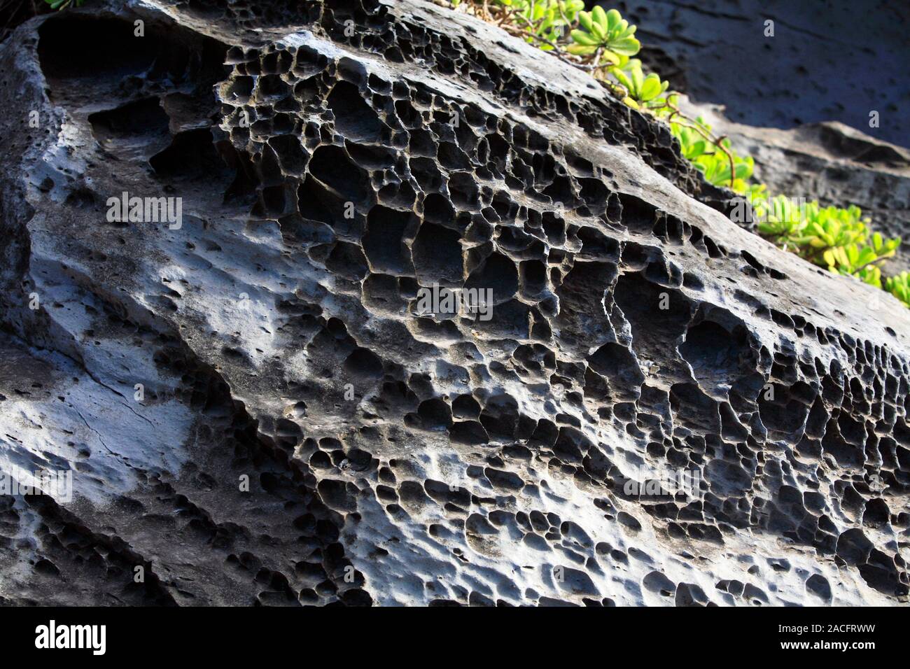 L'érosion de roches volcaniques. Close-up de roche volcanique qui a été ...