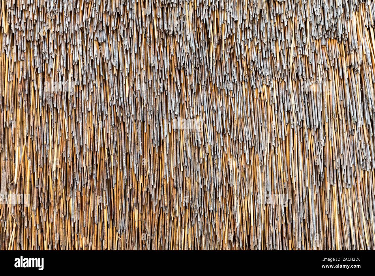 Toit en chaume avec des roseaux Banque de photographies et d’images à ...
