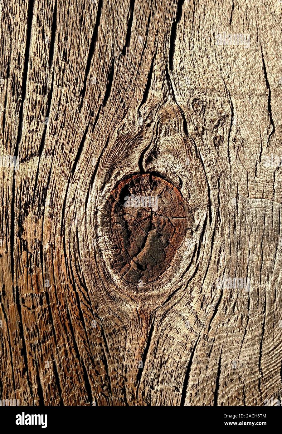 Cut redwood lumber Banque de photographies et d’images à haute ...