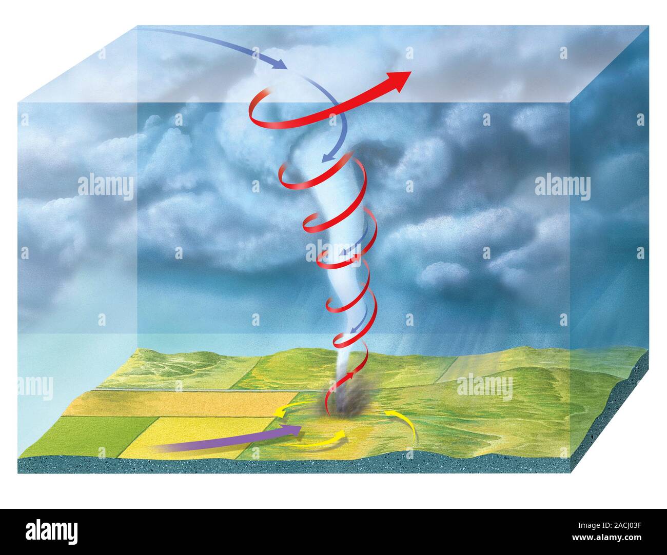 formation-de-tornade-3d-computer-artwork-les-tornades-se-d-veloppent