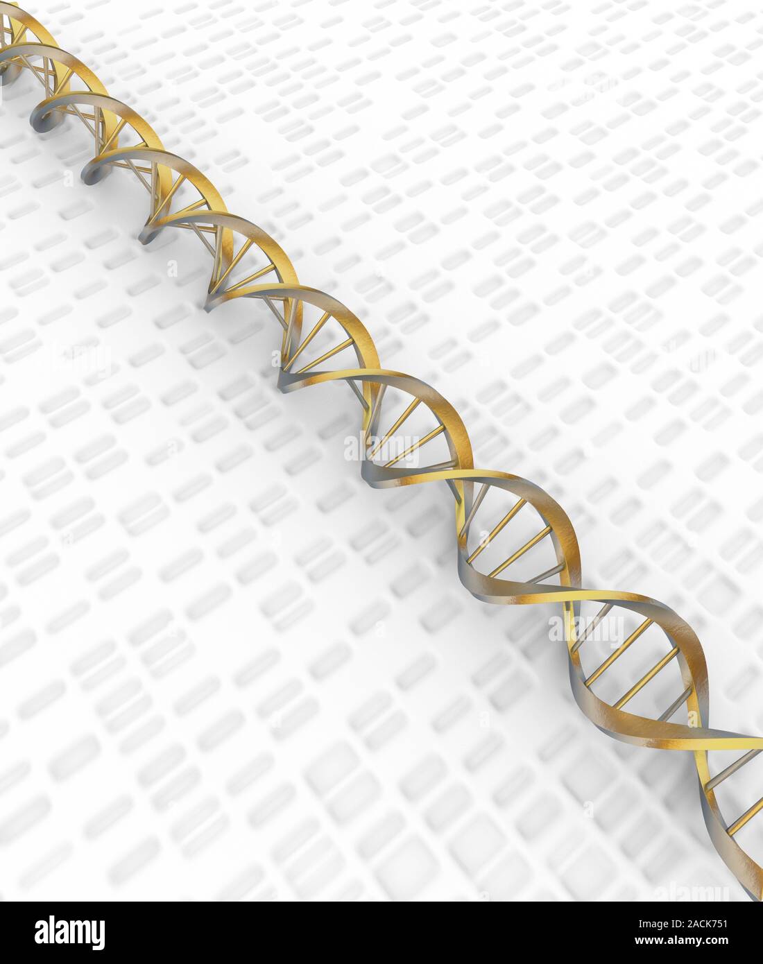 Illustration d'ordinateur conceptuel de la double hélice d'ADN avec une ...
