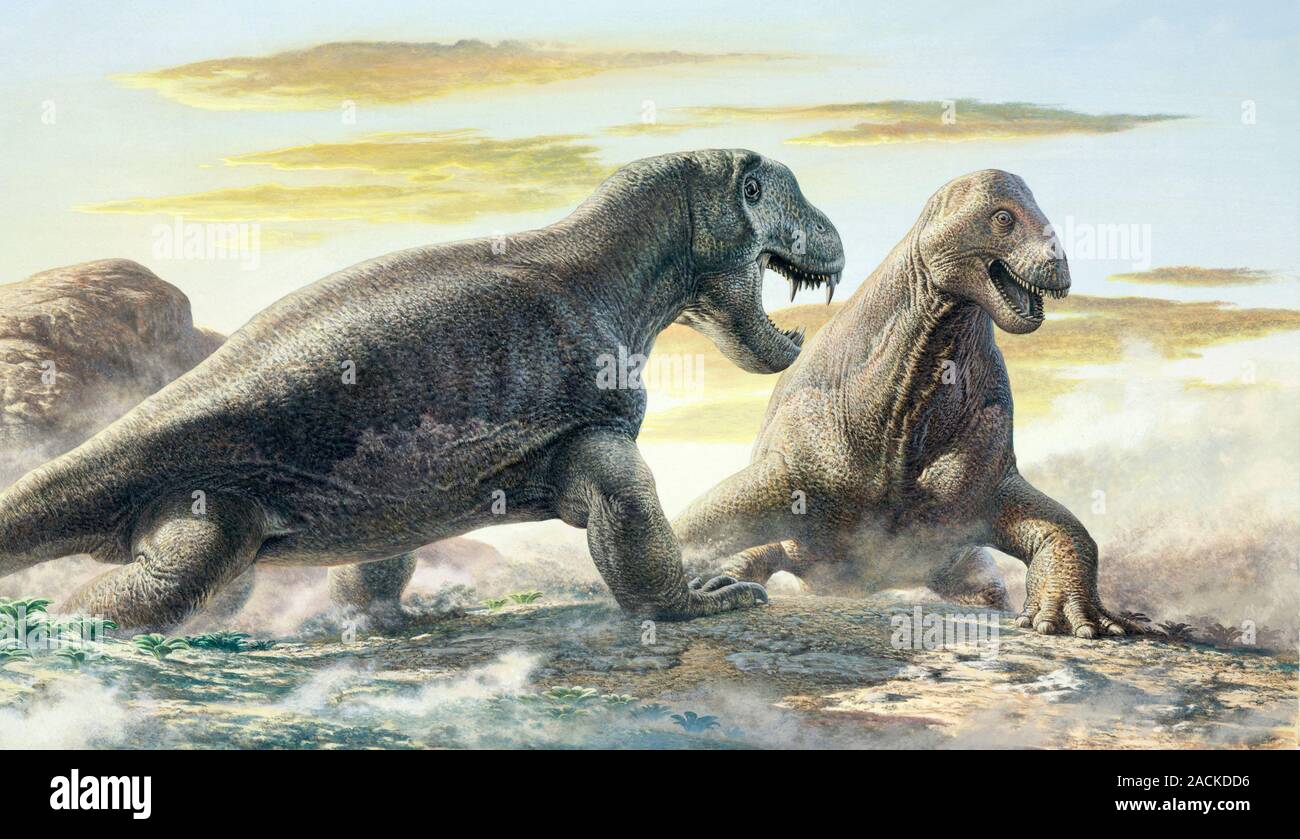 Proto-mammifères préhistoriques. Artwork de proto-mammifères ...