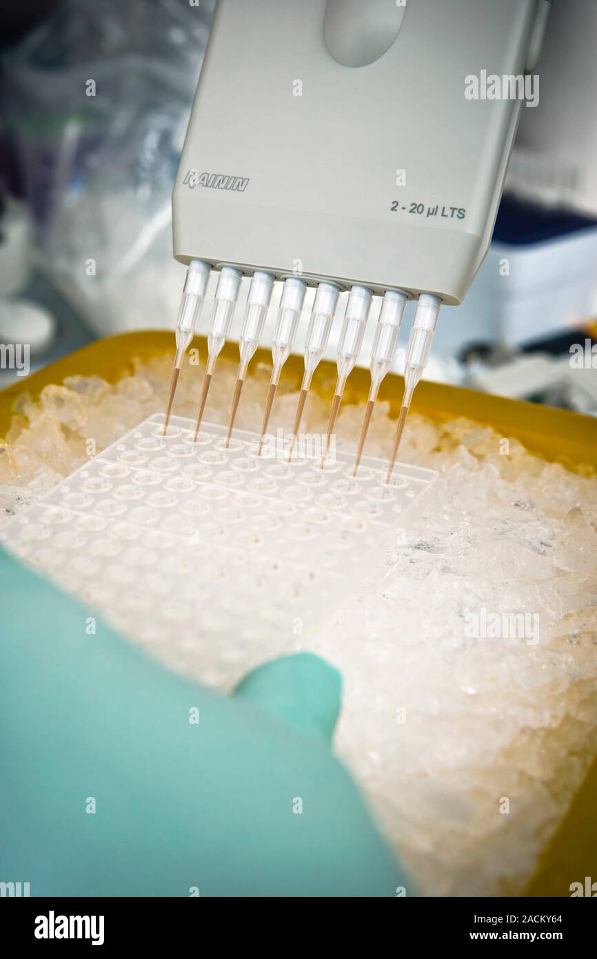 Laboratoire de recherche sur le cancer. Chercheur à l'aide d'une ...