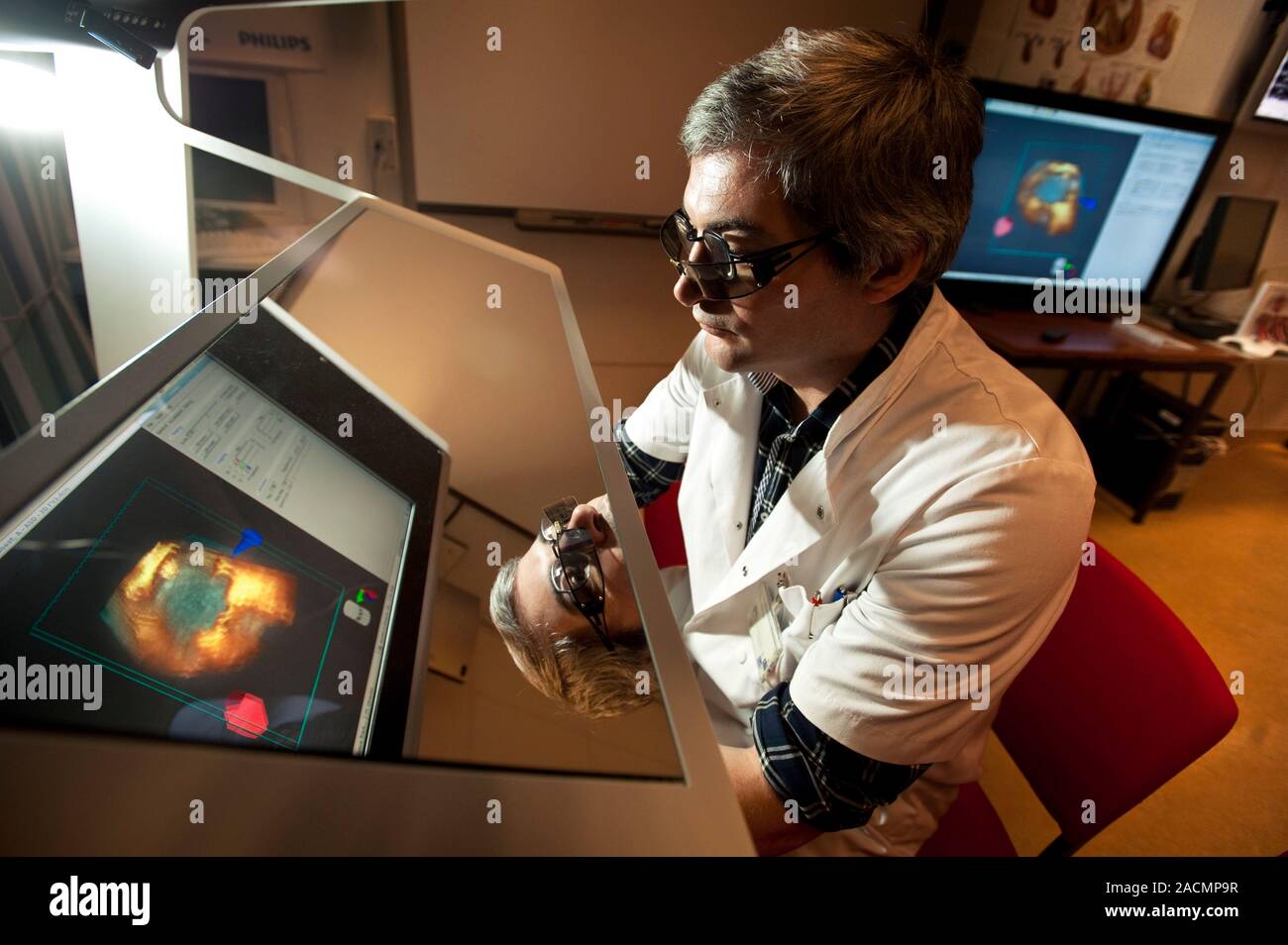 La cardiographie de l'échographie 3D. Cardiologue d'effectuer une ...