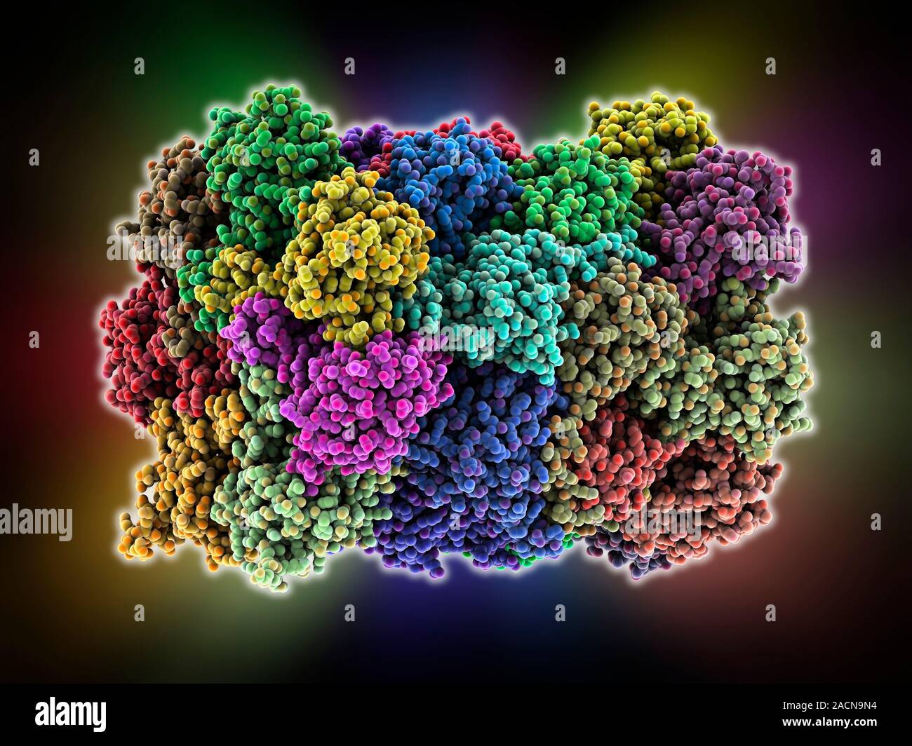 L'enzyme de la levure. Le modèle moléculaire d'une enzyme de la levure ...