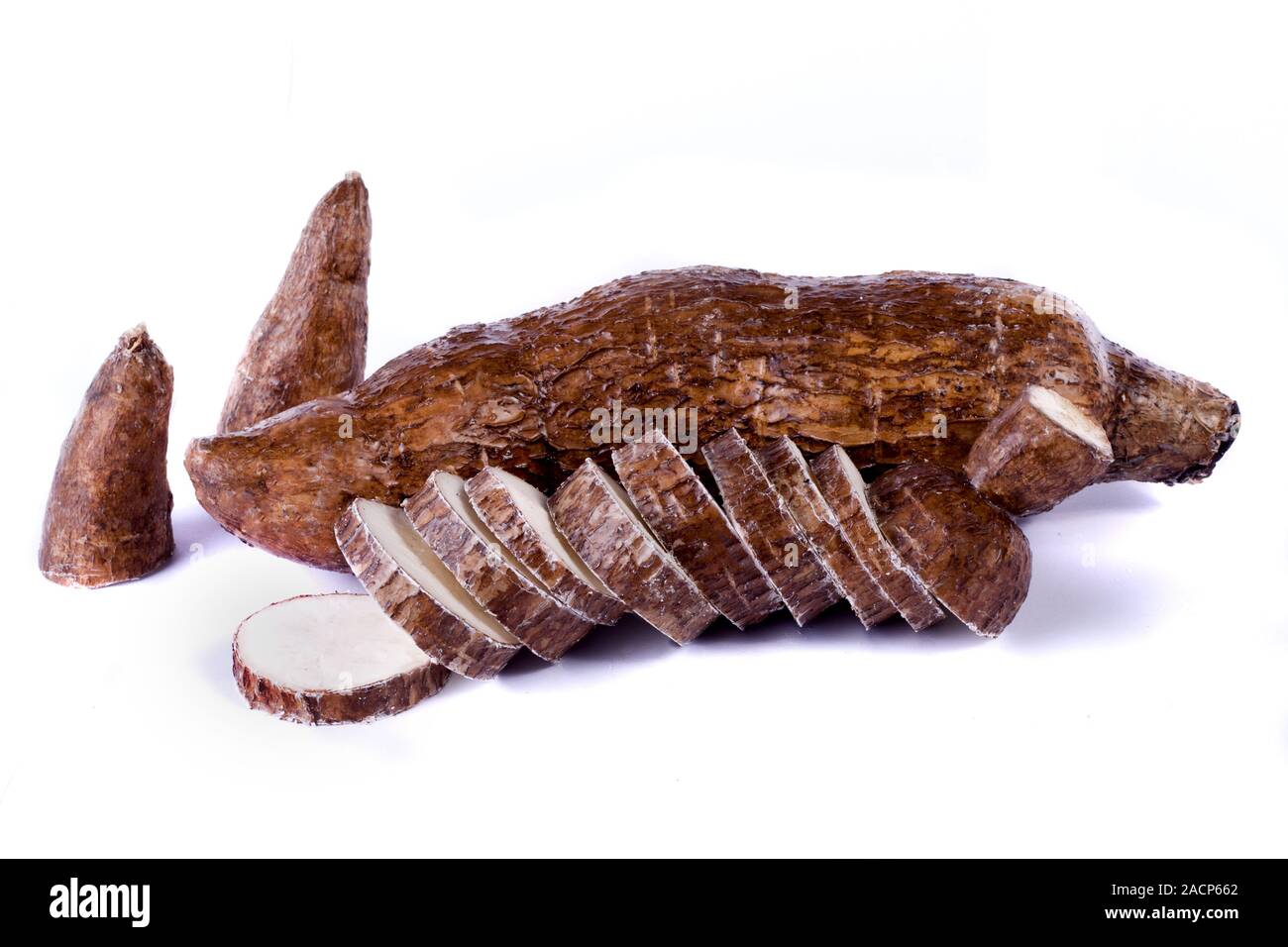 Manioc manioc Banque d'images détourées - Alamy