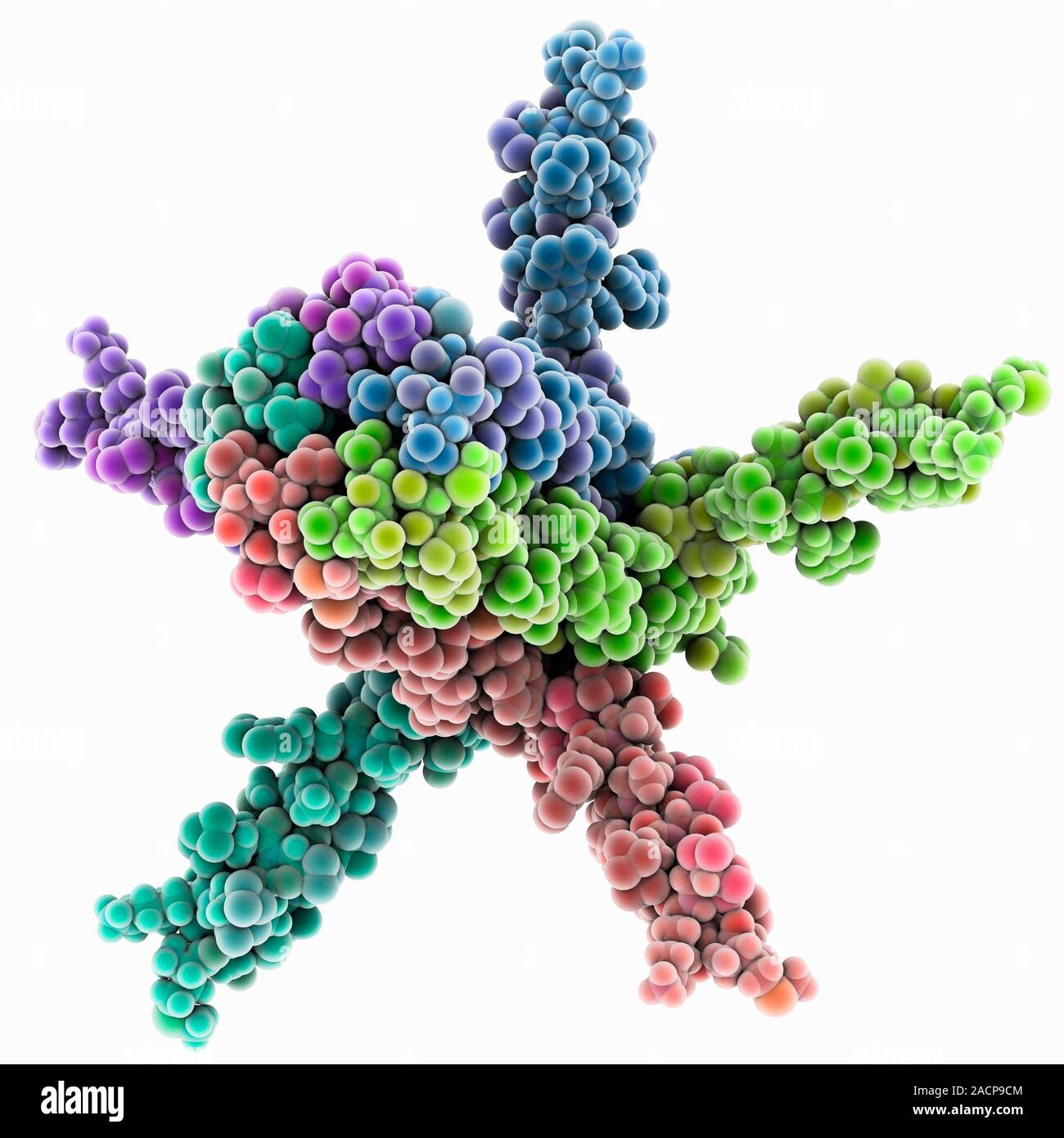 La protéine membranaire du phospholamban. Le modèle moléculaire de la ...