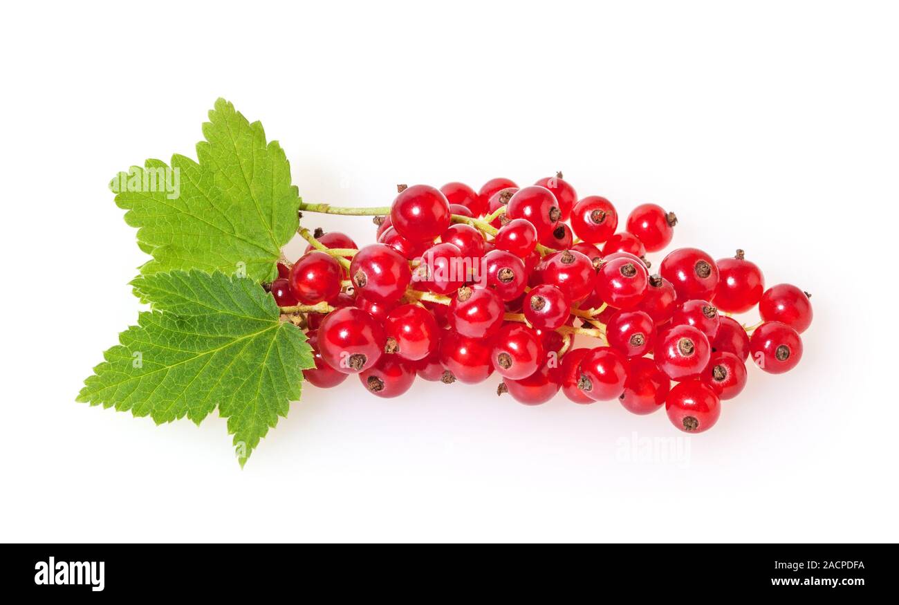 Groseille verte Banque d'images détourées - Alamy