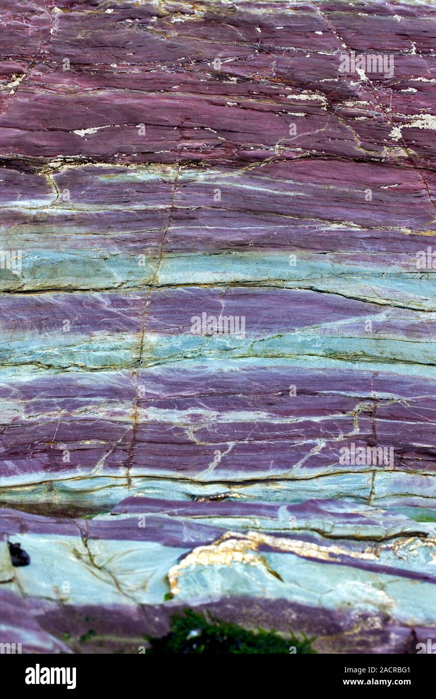 Les ardoises du Dévonien. Close-up des roches du Dévonien bagués et ...