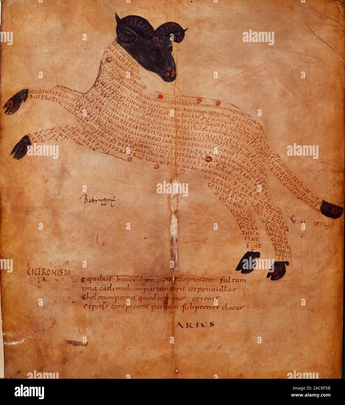 Le bélier, ensemble folio Illustration de la constellation du Bélier ...