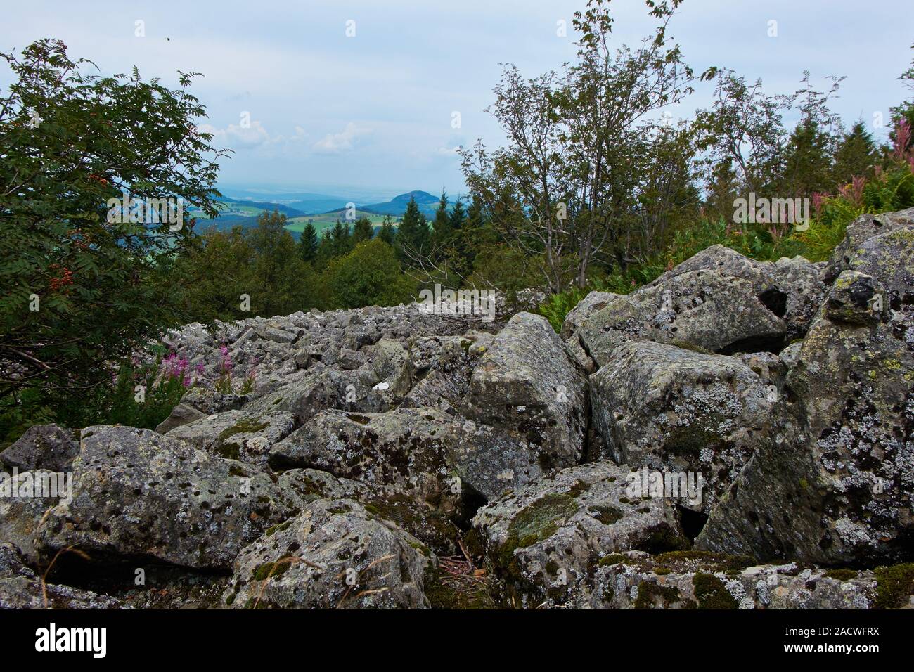 Réserve de biosphère de rhön Banque de photographies et d’images à ...