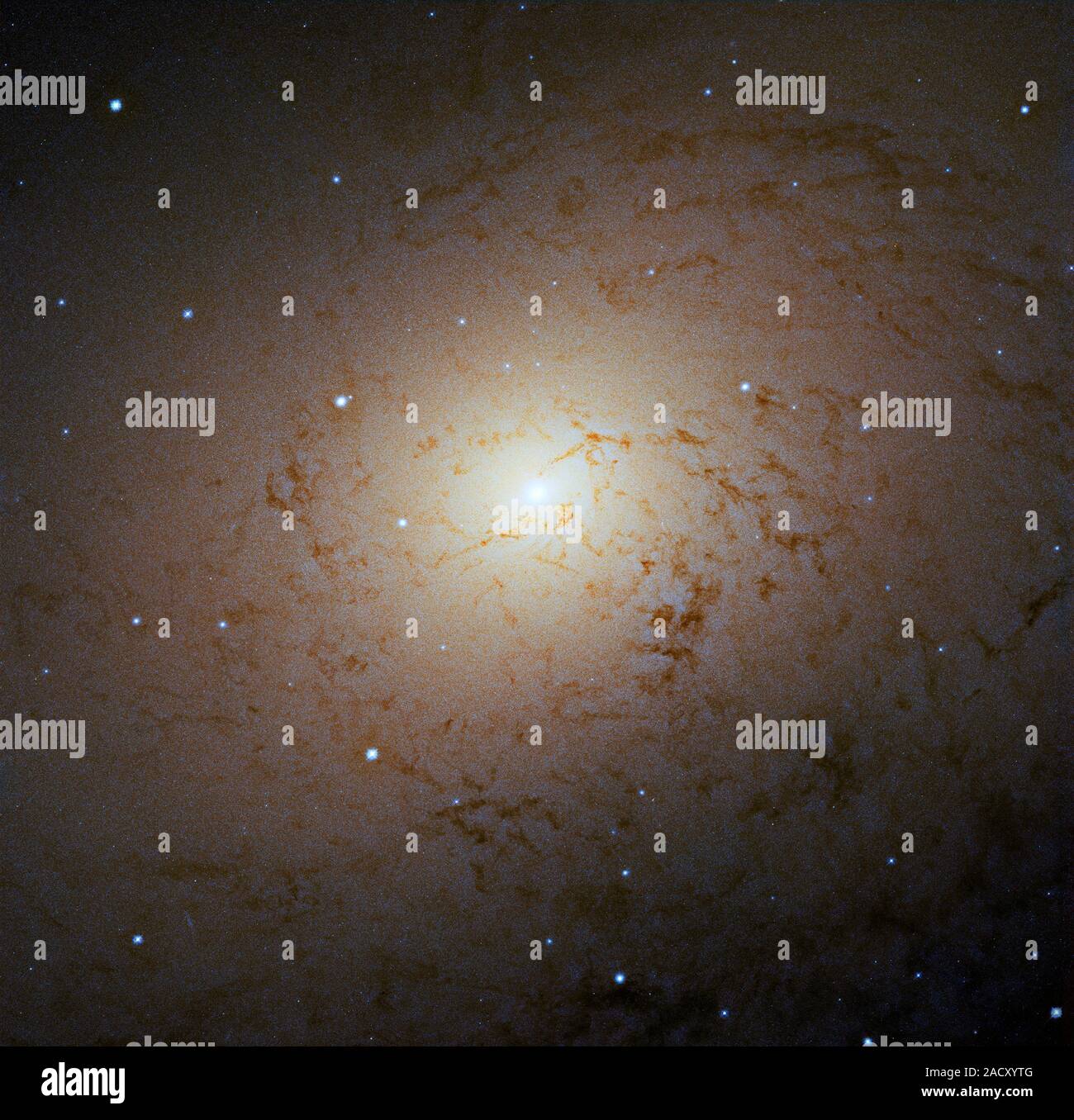 Galaxie d'Andromède. Télescope spatial Hubble image de la région ...