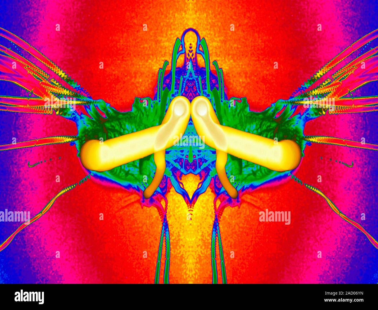 L'extinction de la flamme dans l'expérience de l'espace. La combustion ...