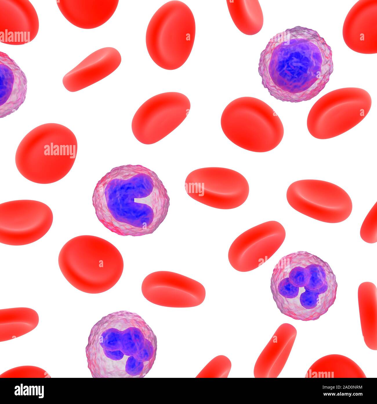 Les cellules du sang, de l'illustration. Les globules rouges ...