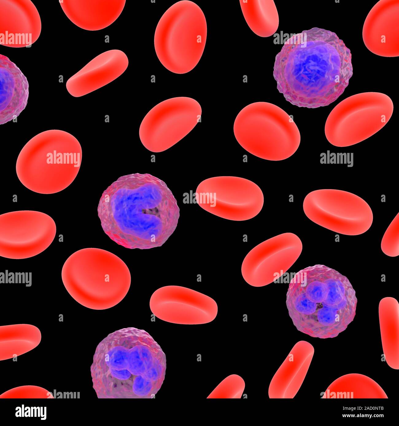 Les cellules du sang, de l'illustration. Les globules rouges ...