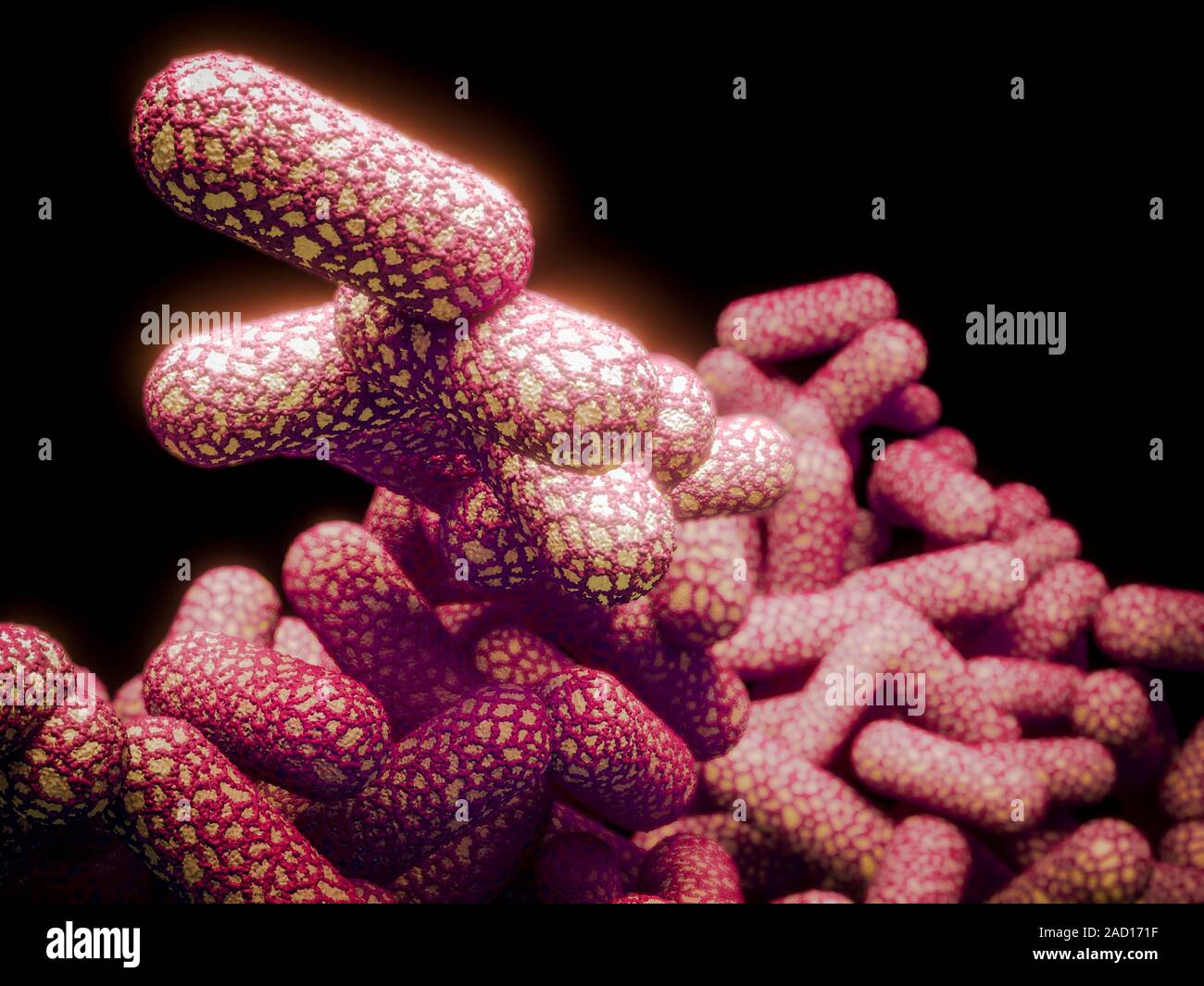 La bactérie E. coli. Illustration d'ordinateur de bactéries Escherichia ...
