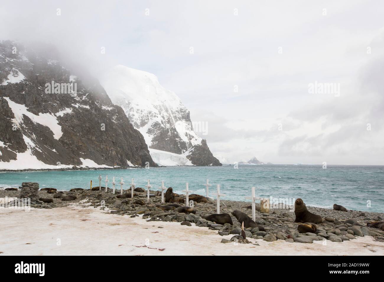 Des tombes et des Otaries à fourrure de l'Antarctique Orcadas Base qui ...