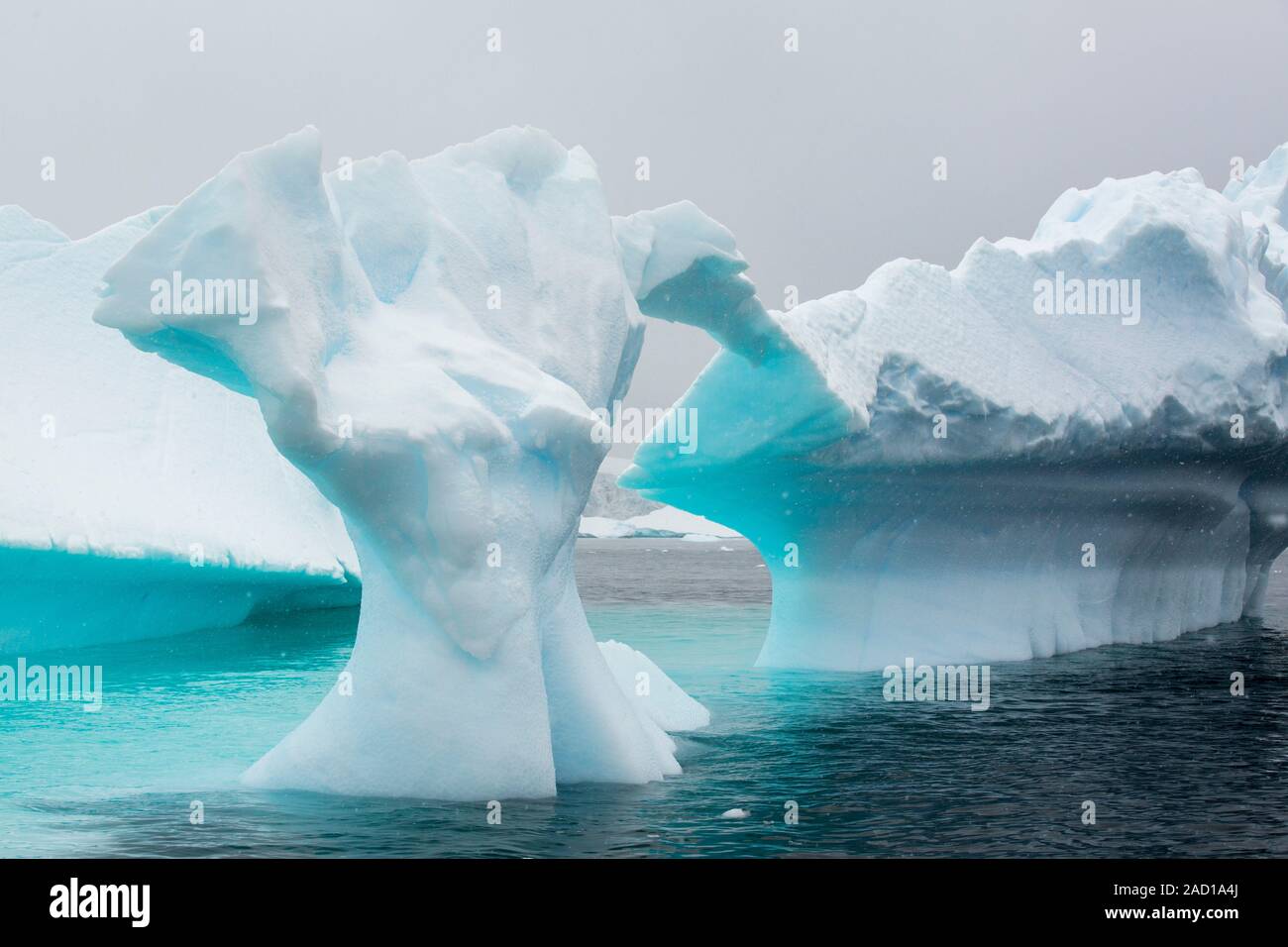 Les icebergs au large de Curverville île sur la péninsule antarctique ...