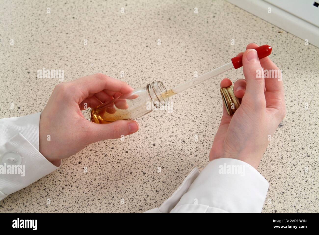 Préparation de la culture de microbiologie. Personne recueillant une ...