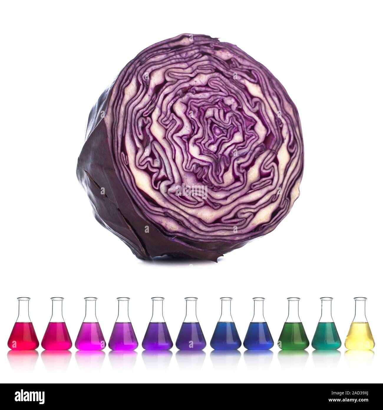 L'indicateur de pH naturel. Des fioles contenant des produits chimiques ...