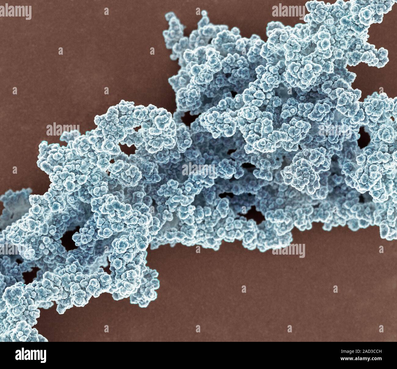 Couleur de l'analyse des électrons Microphotographie (SEM) de la ...