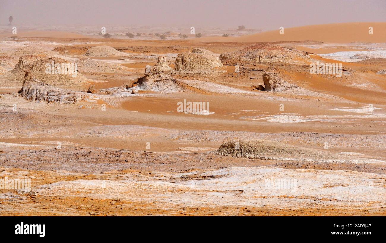 Les dépôts lacustres préhistoriques saharienne. Vue sur les dépôts ...