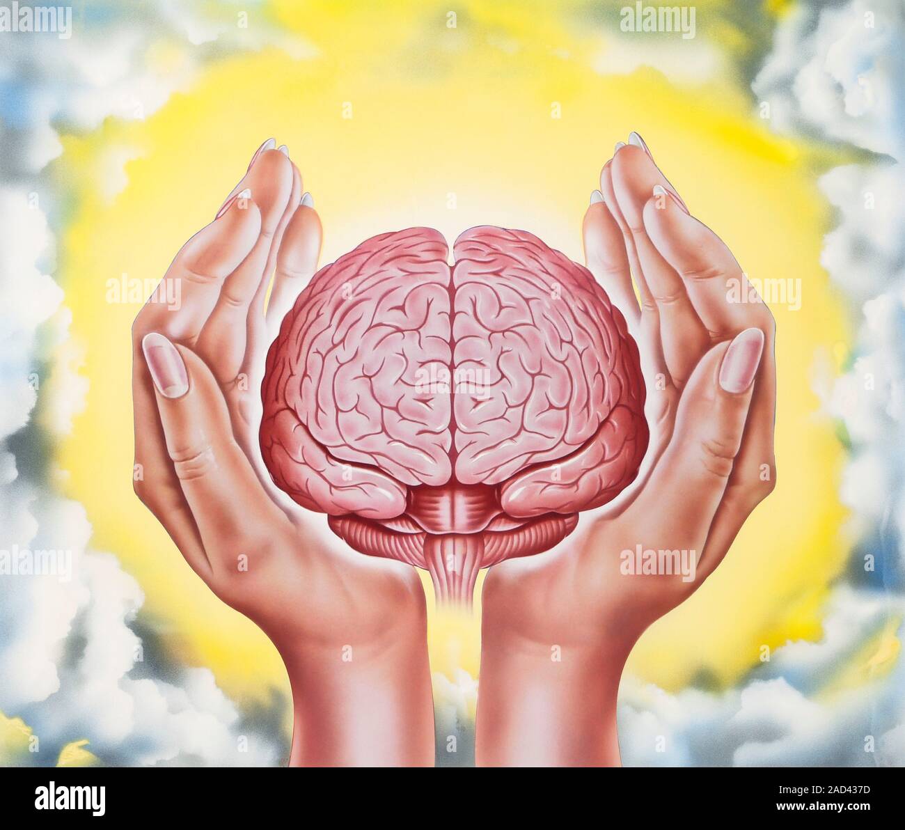 La protection du cerveau. Illustration conceptuelle des mains de la ...