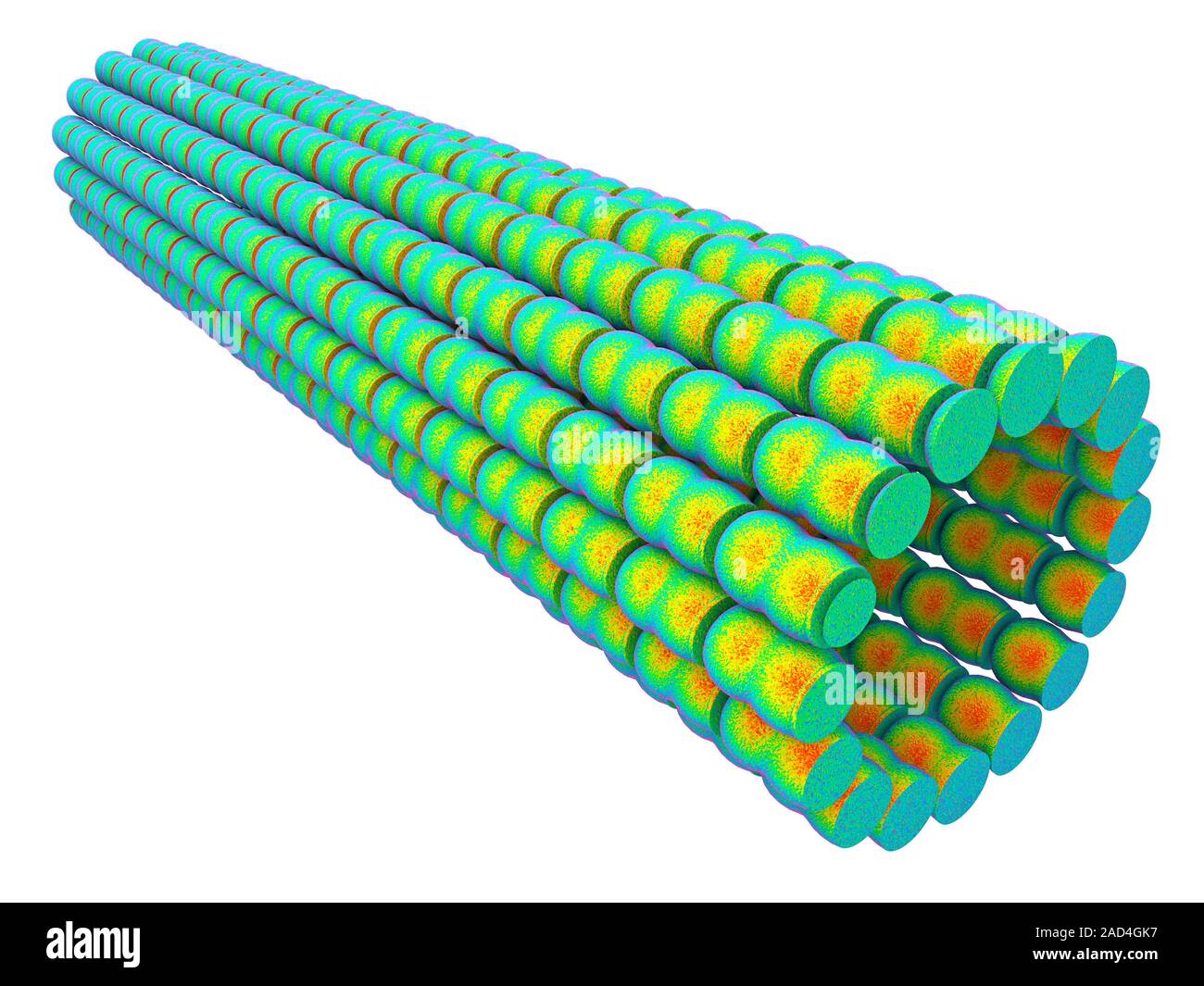 Les microtubules, 3D computer artwork. Les microtubules sont des ...