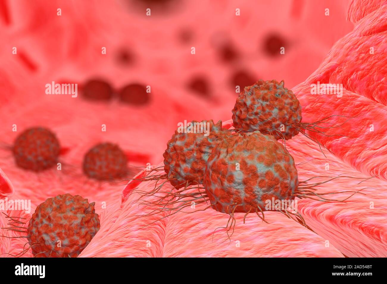 Les cellules de cancer, l'illustration de l'ordinateur. La surface ...